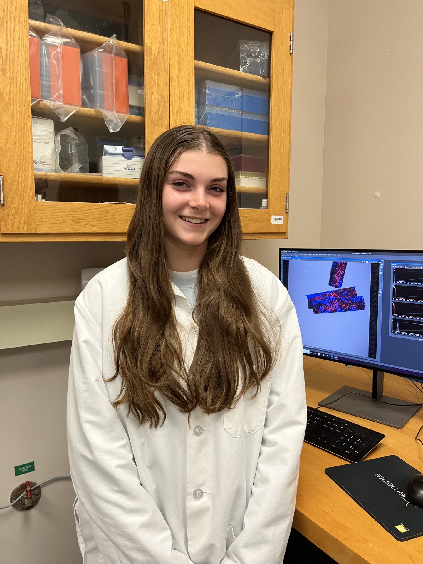 advanced nanomaterials engineering laboratory