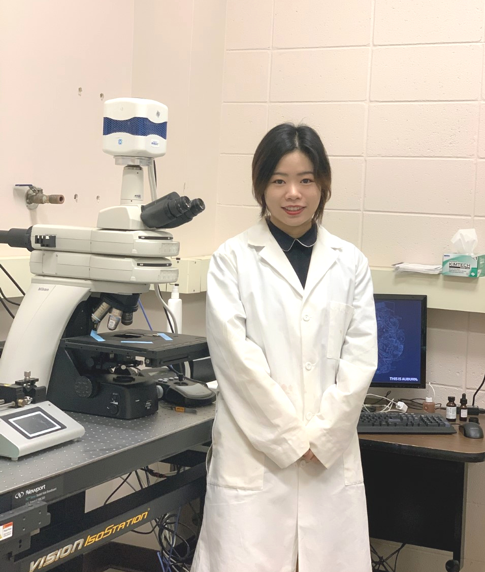 advanced nanomaterials engineering laboratory